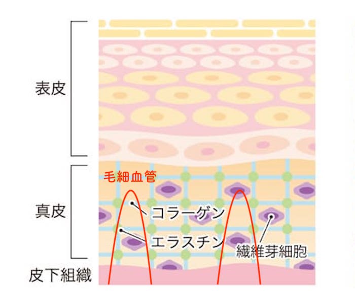 肌断食で乾燥肌を改善する方法｜冬でも乾燥しないオススメのやり方